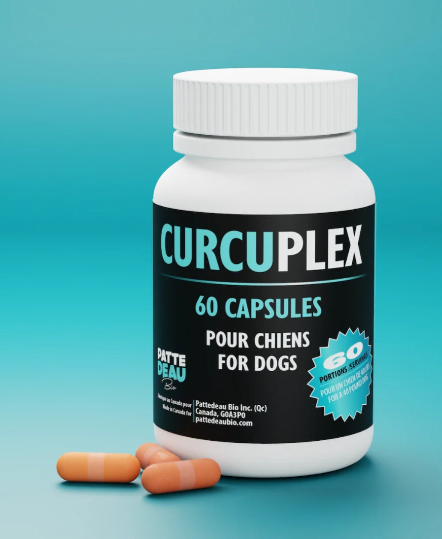 PATTE D'EAU BIO - Curcuplex – ANIFORME