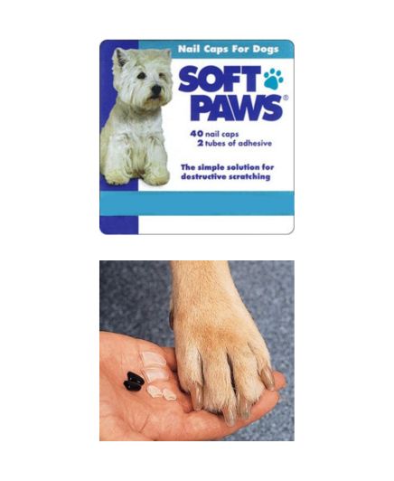 Soft Paws® - Nail cap Chien – ANIFORME